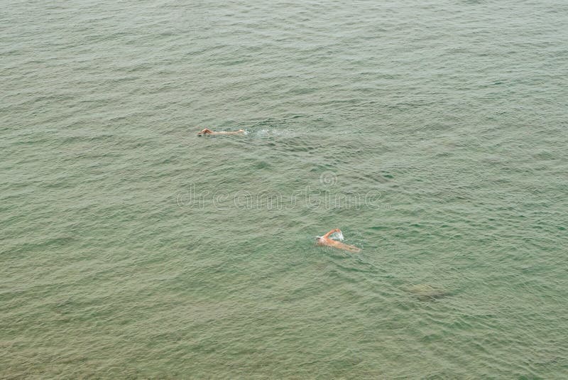 People are Enjoying an Aquatic Activity Stock Image - Image of surf ...