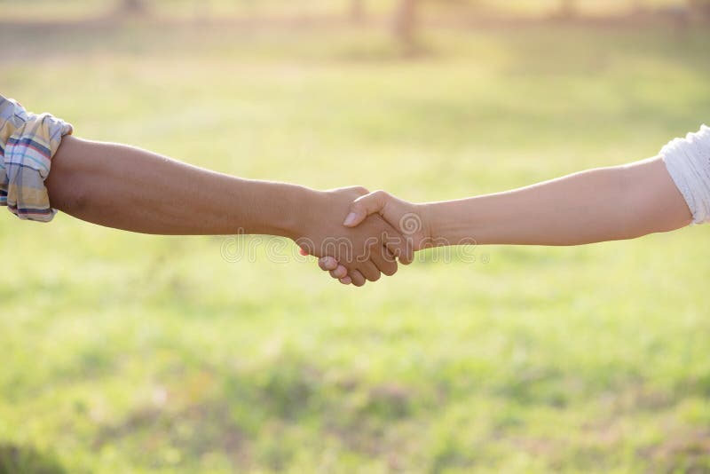 117 Mate Handshake Stock Photos - Free & Royalty-Free Stock Photos from ...