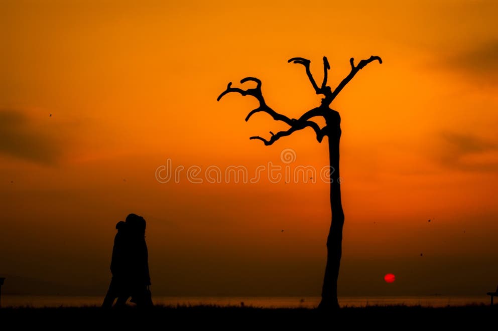 Two People and One Tree Silhouette Stock Photo - Image of dusk, leaves ...