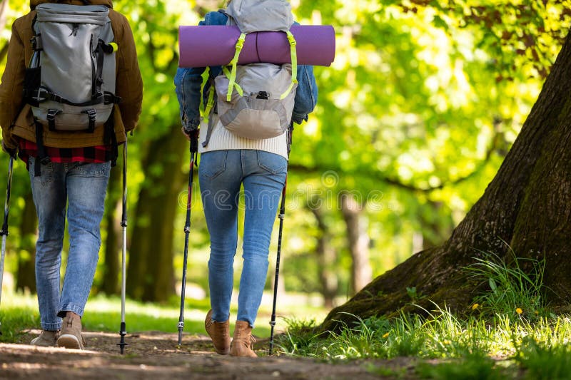 Two People on the Road in the Forest with Scandinavian Sticks Stock ...