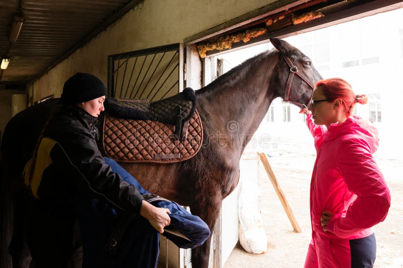 Two People Saddling a Brown Horse in Stable Stock Image - Image of ...