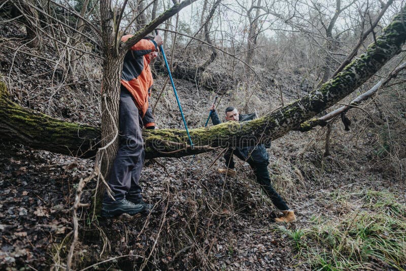 Two People Traversing a Forested Area Using Tools To Manage Their Path ...