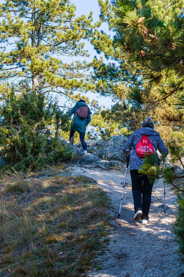Two People Walking in a Dense Forest on the Path of the Road, Rear View ...