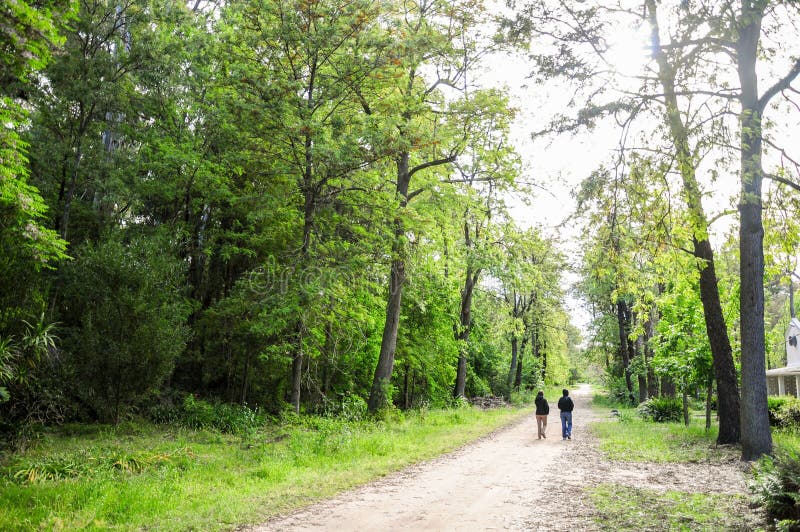 Two People Walking on a Sunny Forest Path Stock Photo - Image of serene ...