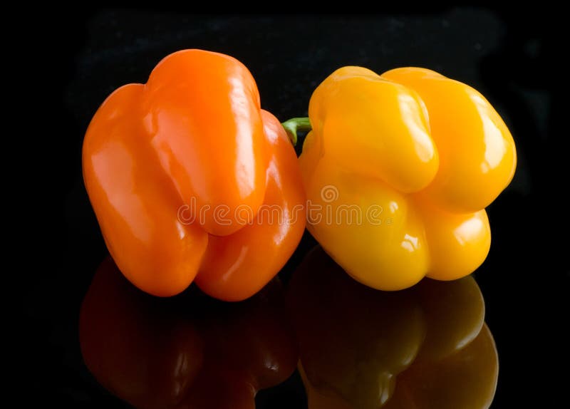 Two peppers stock image. Image of food, vitamin, healthy - 16924755