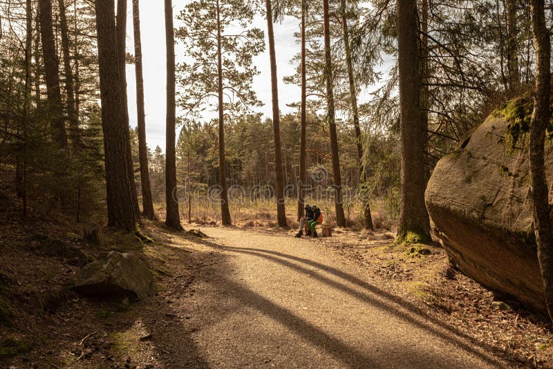 Two Persons Sitting on a Bench by a Path by a Forest Clearing.. Stock ...