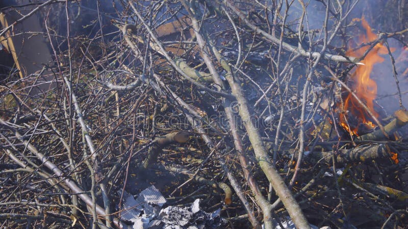 Two Persons with an Unrecognizable Faces Throw Cardboard Boxes into a ...