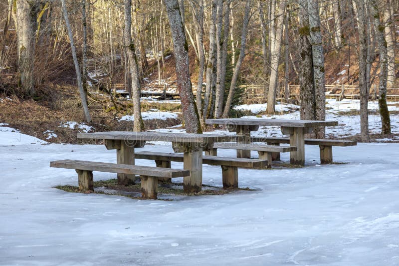 .two Picnic Tables with Benches Set on the Snowy Ground between Bare ...
