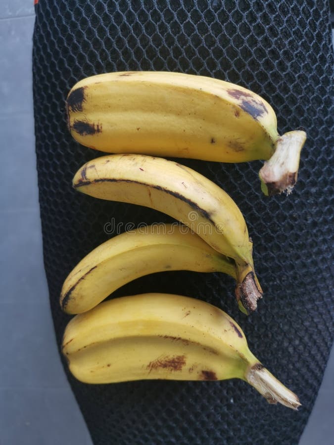 Two Piece of Cavendish Banana in a Single Finger. Stock Photo - Image ...
