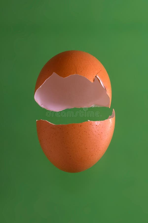 Empty broken eggshell stock photo. Image of brown, eggshell - 170341354