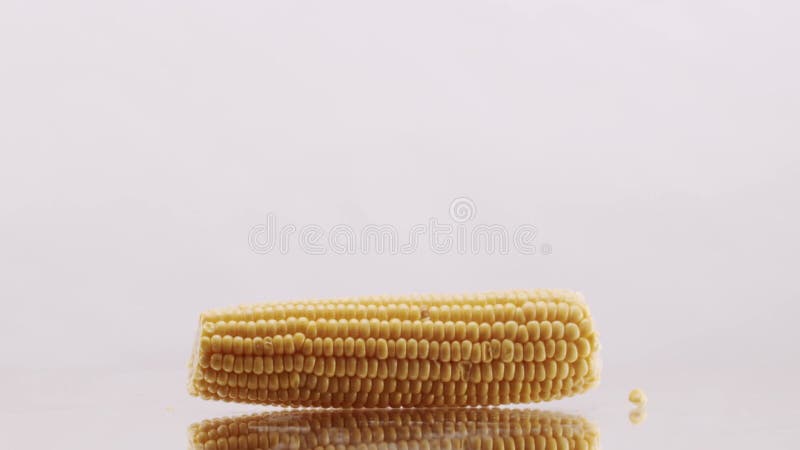 Two Pieces of Corn Collide in the Middle on a Isolated White Background ...
