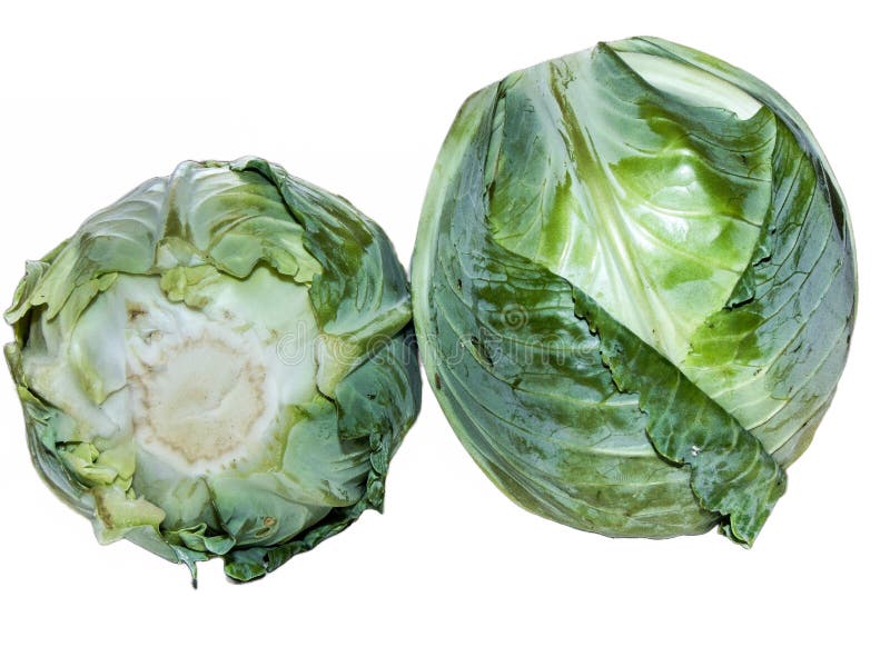 Two Pieces of Fresh Cabbage Isolated on White Background Stock Photo ...