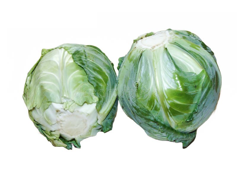 Two Pieces of Fresh Cabbage Isolated on White Background Stock Photo ...