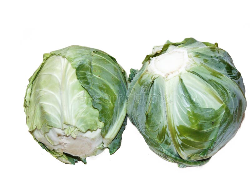 Two Pieces of Fresh Cabbage Isolated on White Background Stock Photo ...