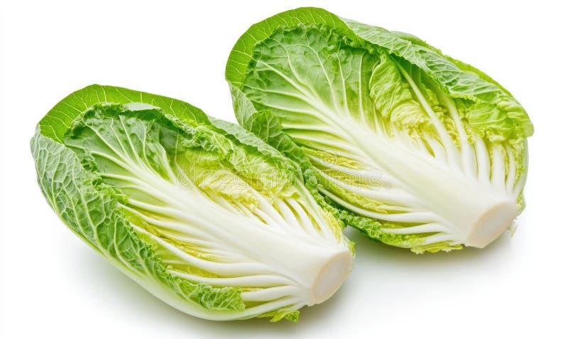 Two Pieces of Lettuce are Cut in Half Stock Photo - Image of white ...