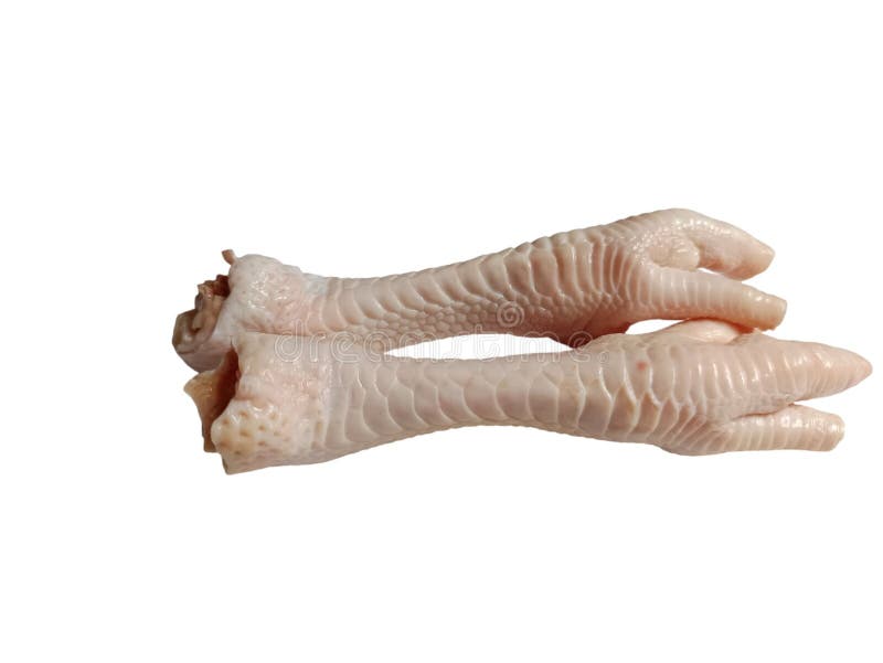 Two Pieces of Raw Chicken Feet that Have Been Cleaned Stock Image ...
