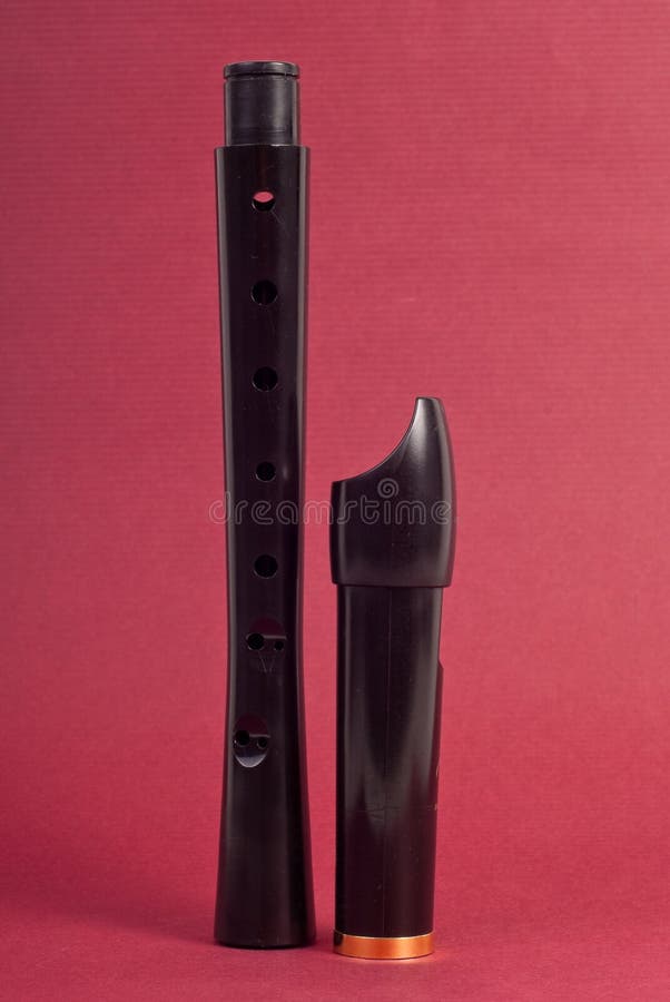 Two Pieces of Recorder stock photo. Image of beginner - 16815506