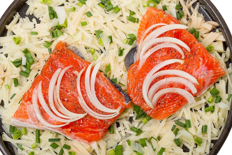 Two pieces of red fish stock photo. Image of fish, freshness - 24880698