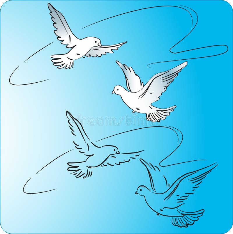 Two pigeons in flight stock vector. Illustration of nature - 12805312