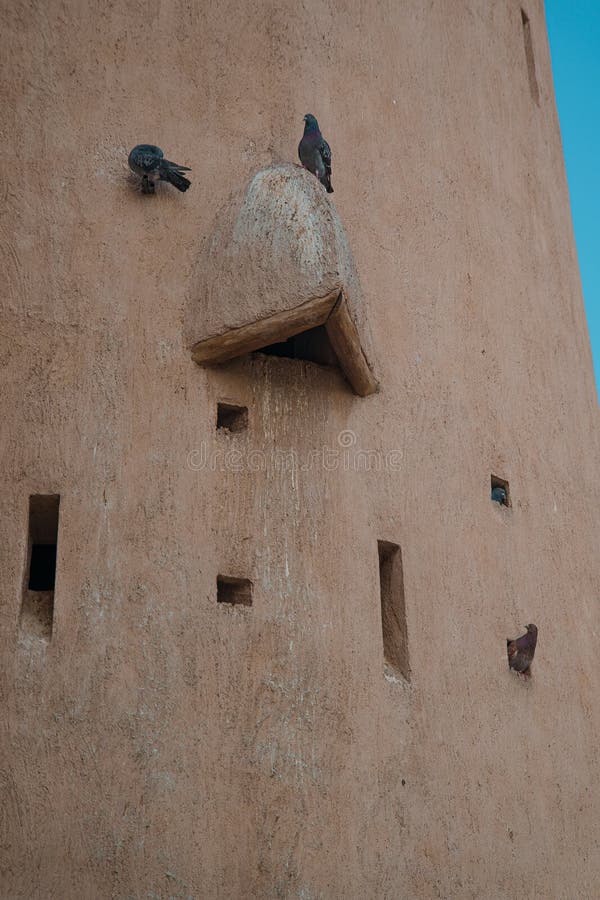 Two Pigeons Perched on a Wall Next To Windows of a Building Stock Image ...