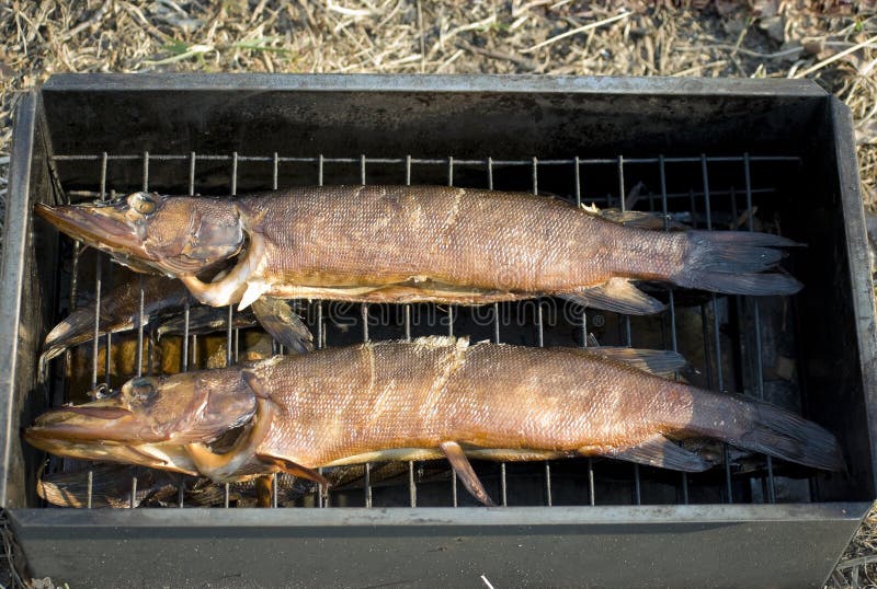 250 Smoked Pike Photos - Free & Royalty-Free Stock Photos from Dreamstime