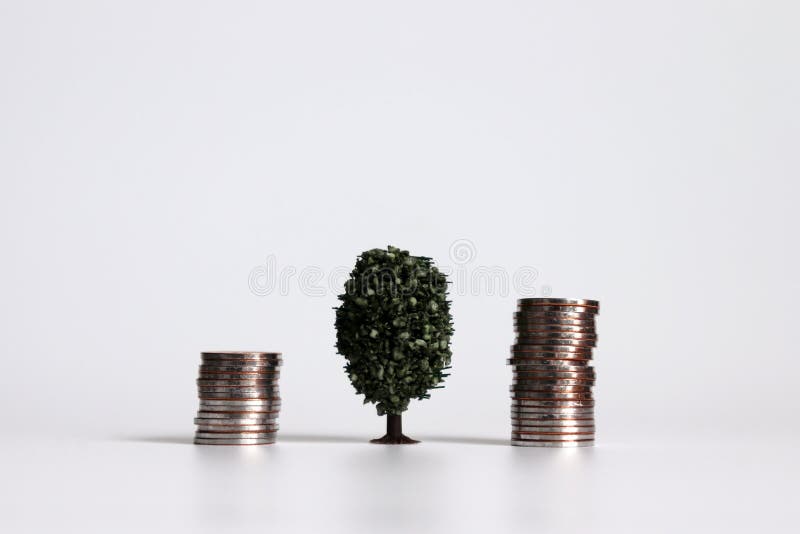 Two Pile of Coins on Either Side of the Tree. Stock Photo - Image of ...