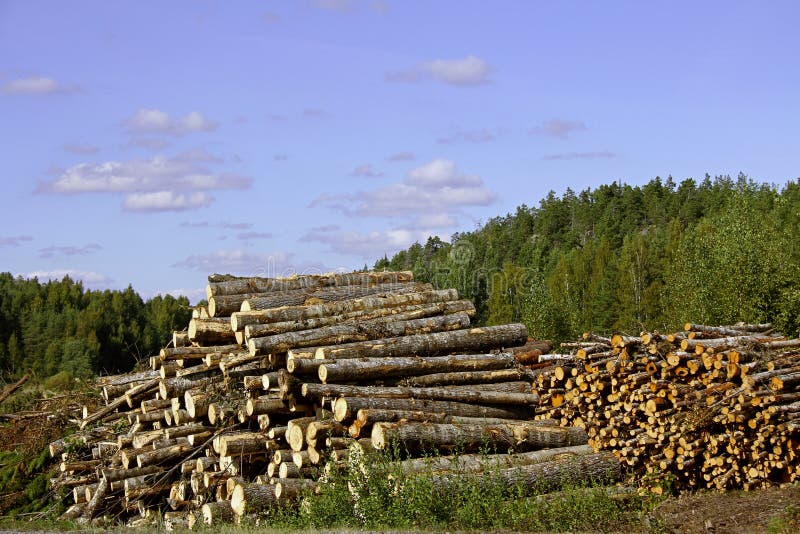 Two Piles of Logs Rural Landscape Stock Photo - Image of logging ...
