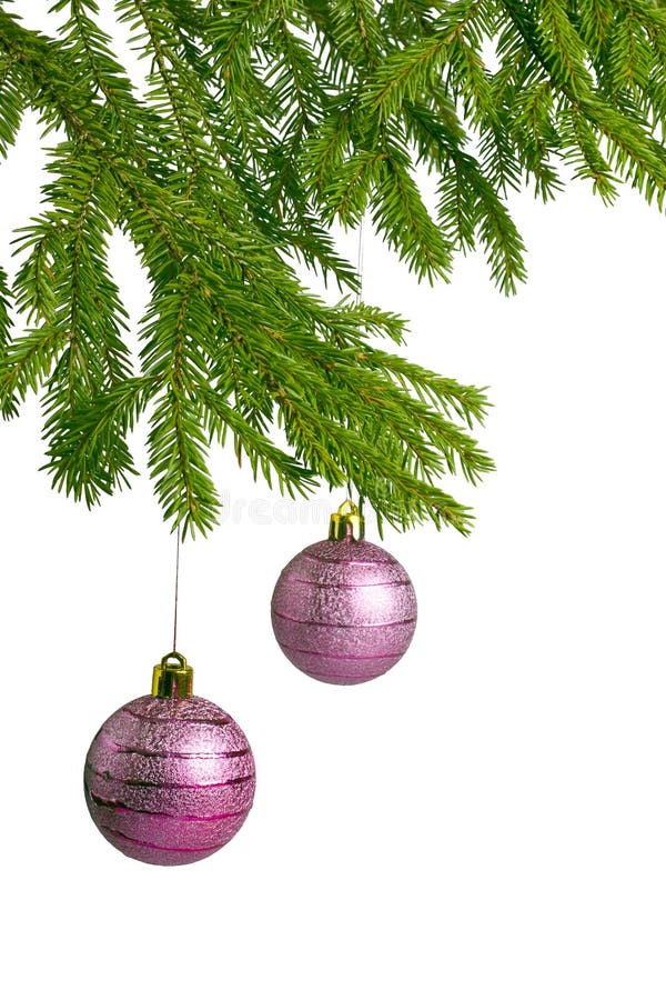 Two Pink Christmas Balls on Fir Tree Stock Photo - Image of season ...