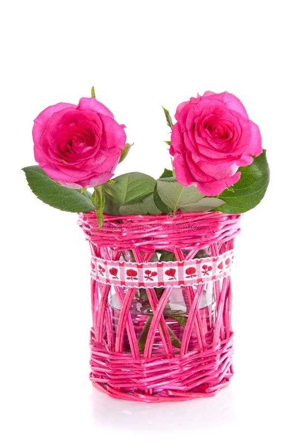 Two pink roses stock image. Image of decoration, florist - 15815419