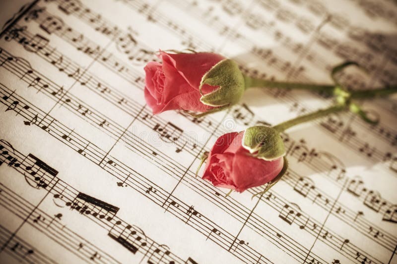 Two Pink Roses on Sheets of Musical Notes Stock Image - Image of note ...