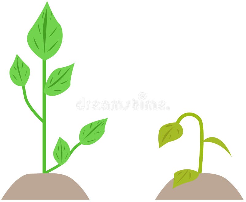 Two plants stock vector. Illustration of summer, growth - 18647391