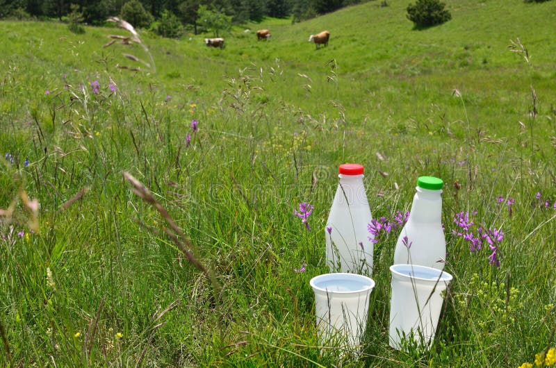 Two Plastic Bottles and Cups in Meadow Stock Image - Image of natural ...