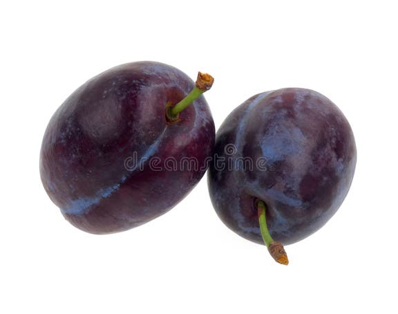Two plums isolated stock image. Image of organic, juicy - 10477695