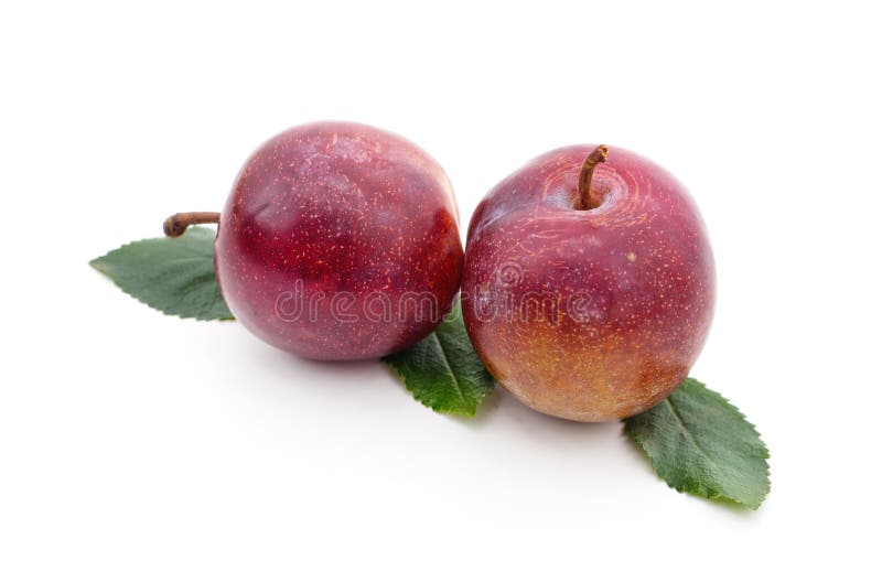 Two plums with leaves stock image. Image of blue, fresh - 194984421