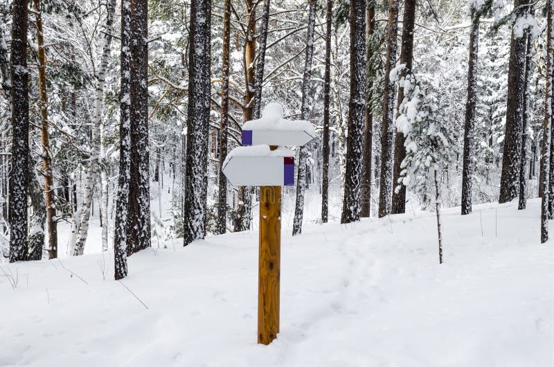 Two Pointers with a Place for the Text Fixed on a Wooden Post Stock ...
