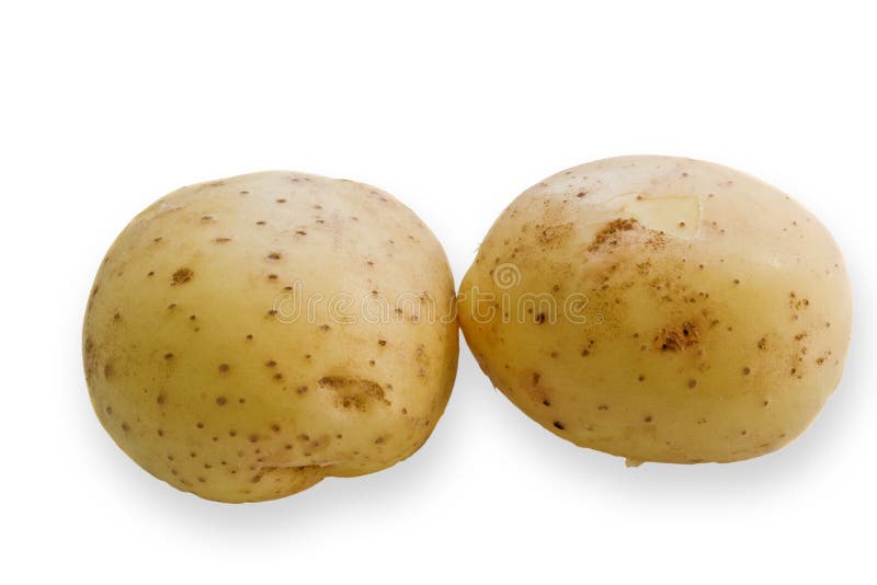 Two potatoes stock image. Image of meal, organic, eating - 10583183