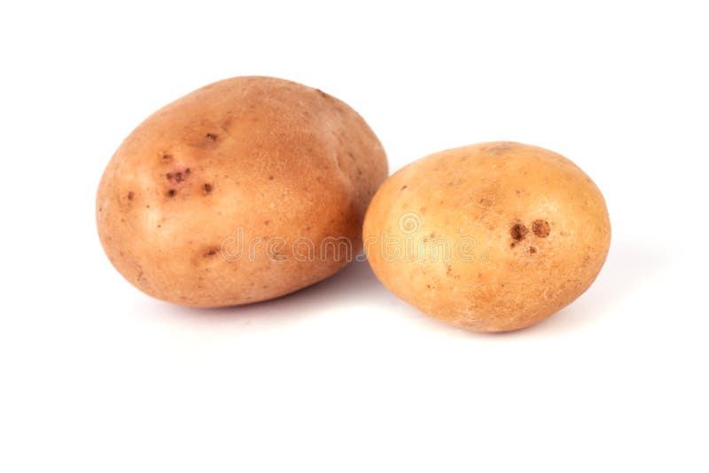 Crop of Farm Potatoes stock image. Image of cuisine, gold - 19703633