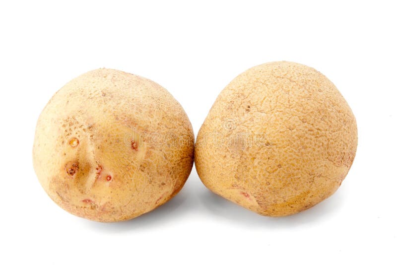Two potatoes stock photo. Image of fresh, potato, cook - 18547484