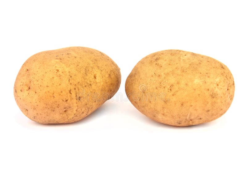 Potatoes isolated on white stock image. Image of healthy - 43044291