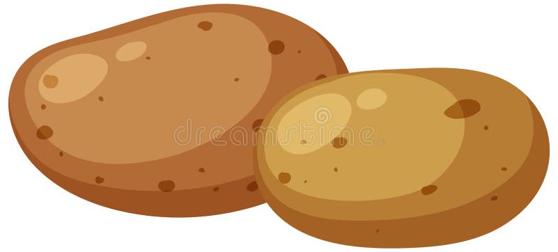 Two Potatoes Isolated Vector Stock Vector - Illustration of potato ...