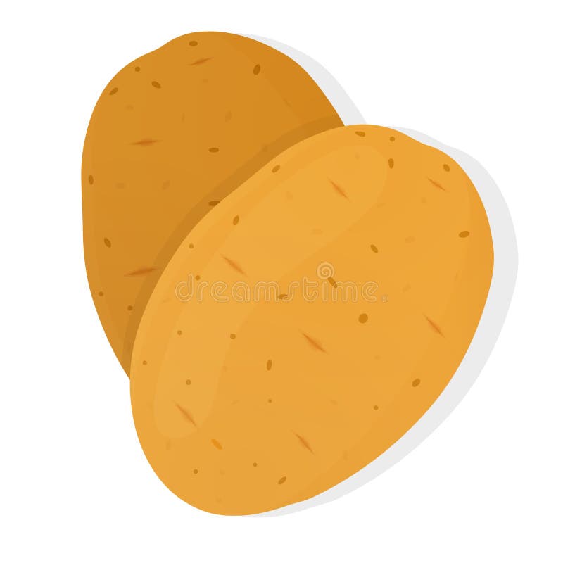 Two Potatoes Isolated on White Background. Unpeeled Potatoes Tuber ...