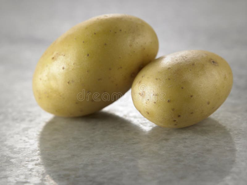 Two potatoes stock photo. Image of food, plant, agriculture - 48461970