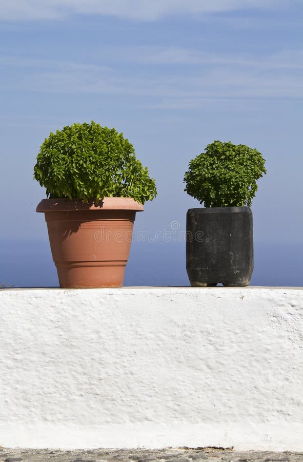 Two pots stock photo. Image of santorini, plant, pyrgos - 18707744