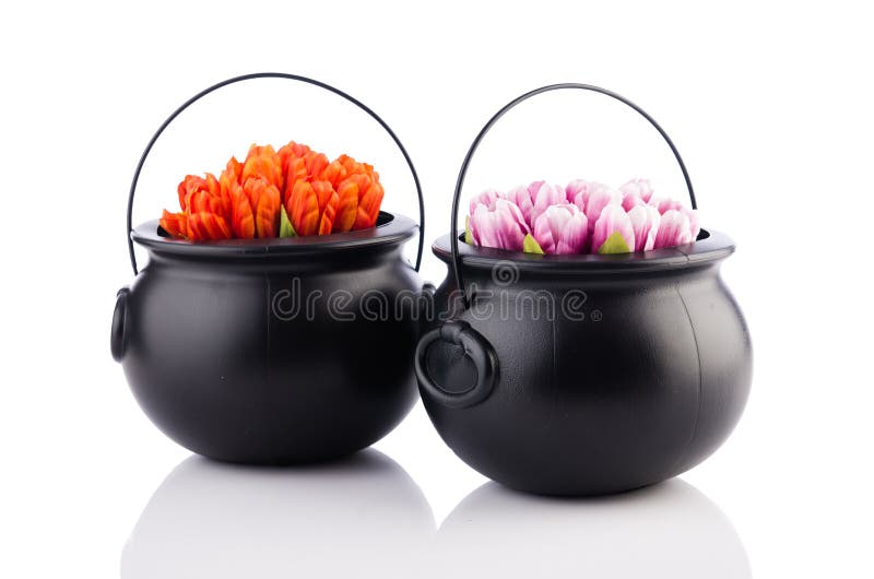 Two Pots with Tulip Flowers Stock Photo - Image of garden, color: 44533630