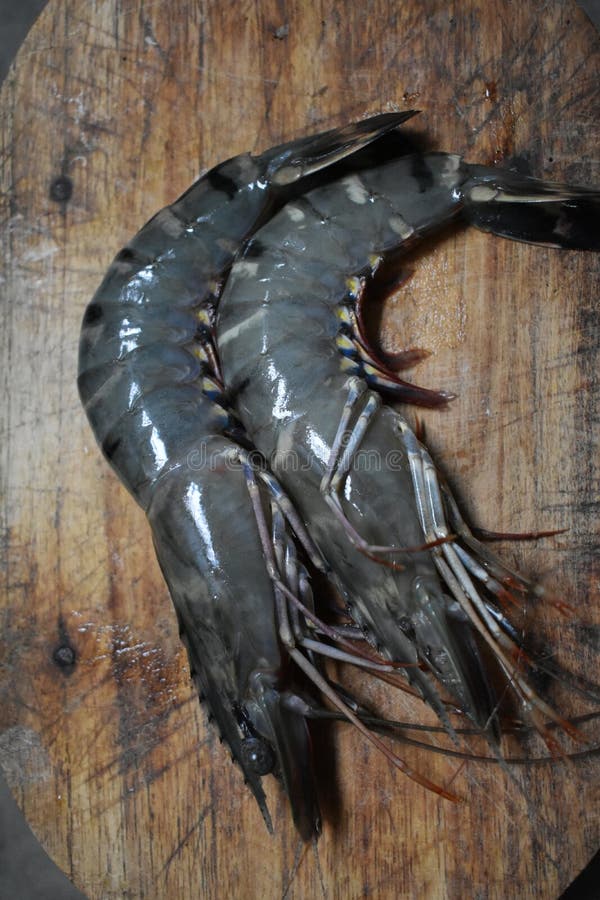 Two Prawns on a Cutting Board Stock Image - Image of prawns, shrimp ...