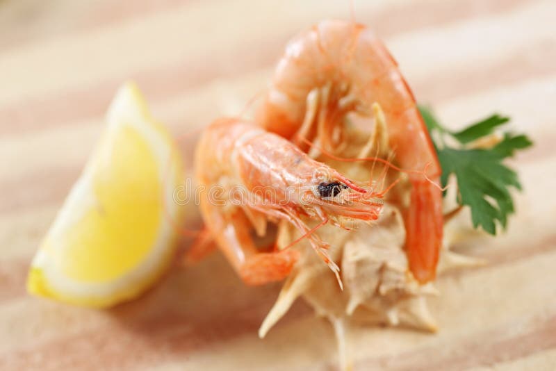 Two prawns on a shell stock photo. Image of ingredient - 26707096