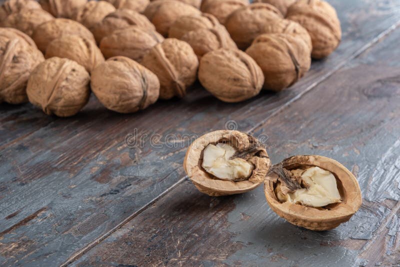 Two Pretty Halves of a Ripe Split Walnut with a Light, Tasty Core ...