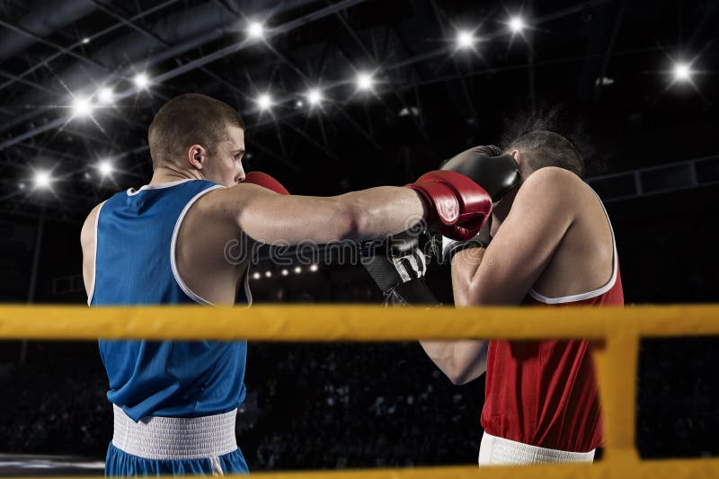 Two Professional Boxer Boxing Stock Image - Image of competitive, fist ...