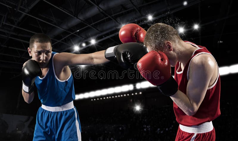 Two Professional Boxer Boxing Stock Image - Image of match, fist: 113791687