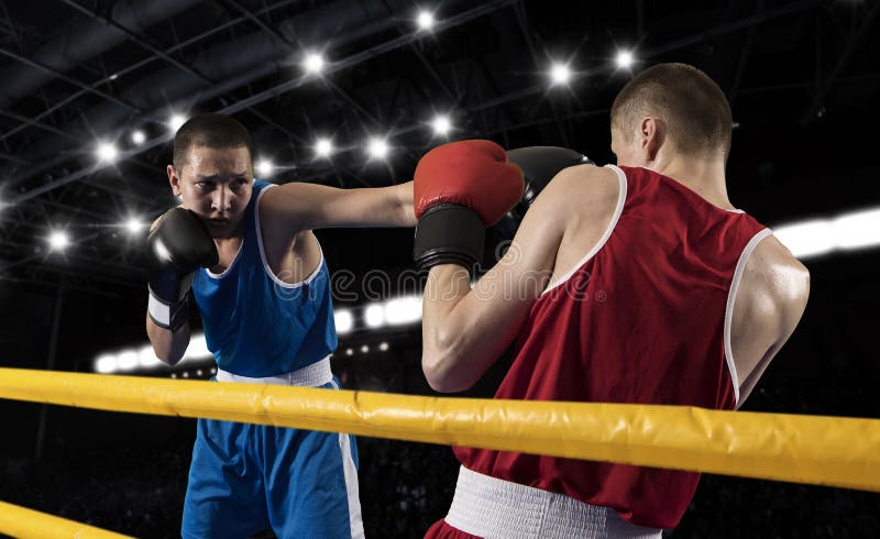 Two Professional Boxer Boxing Stock Image - Image of challenge ...